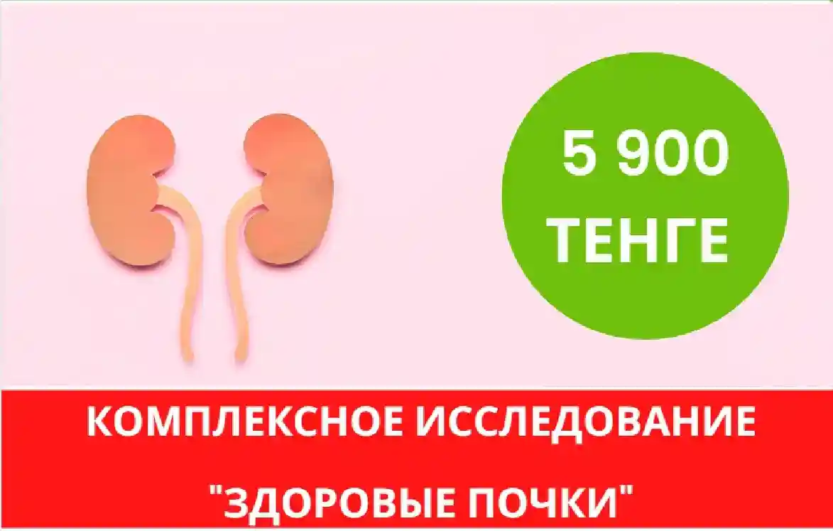 Главная